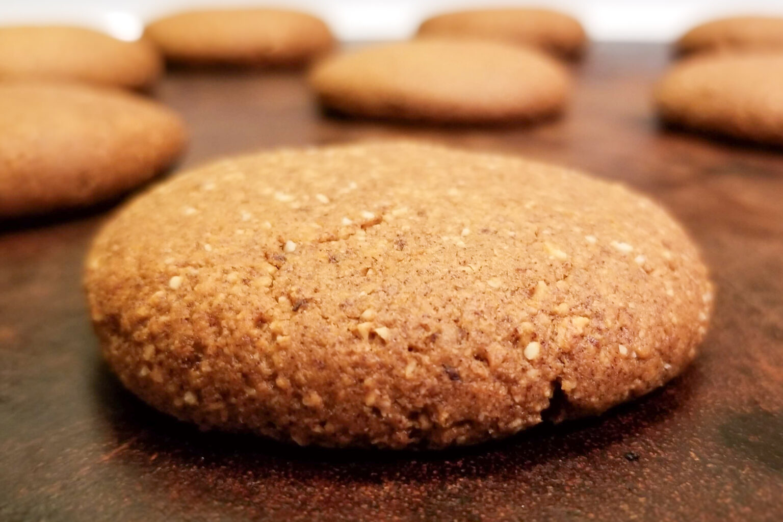 Paleo Gingerbread Cookies {Gluten Free | Dairy Free | Sugar Free ...