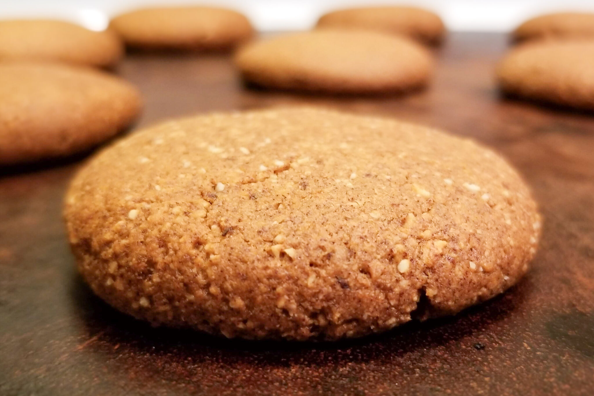 Paleo Gingerbread Cookies {Gluten Free | Dairy Free | Sugar Free ...