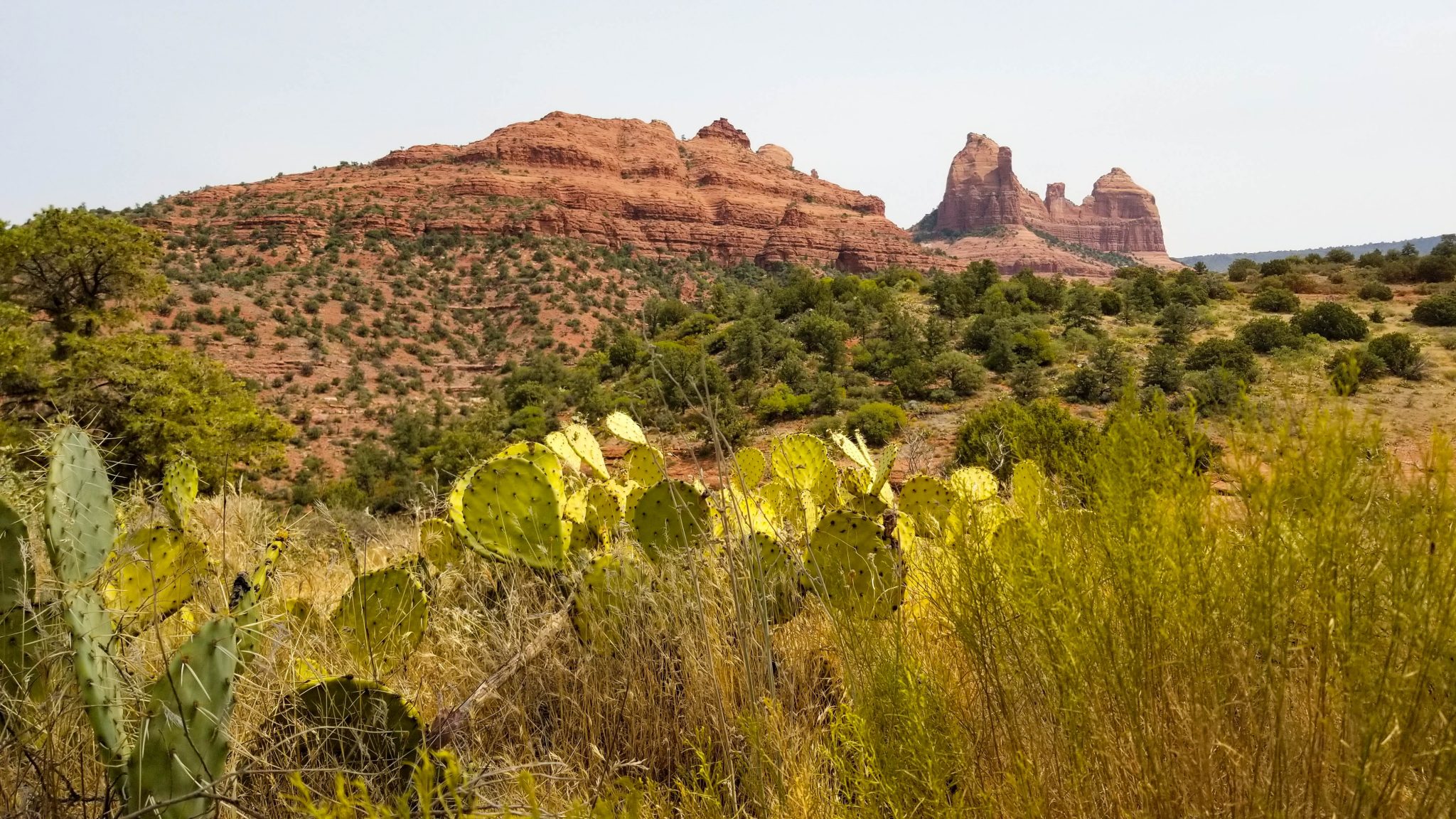 First-Time Visitor Guide: Phoenix Arizona - The Curious Stones
