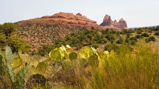 First-Time Visitor Guide: Phoenix Arizona - The Curious Stones